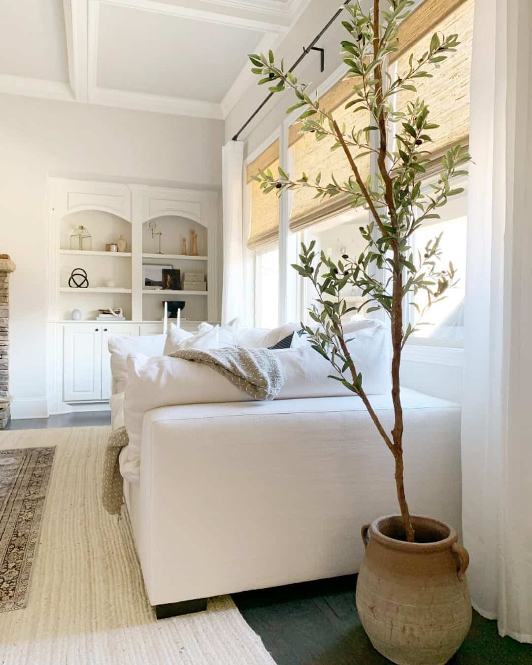 39 Faux Olive Tree Ideas for a Trendy Natural Look