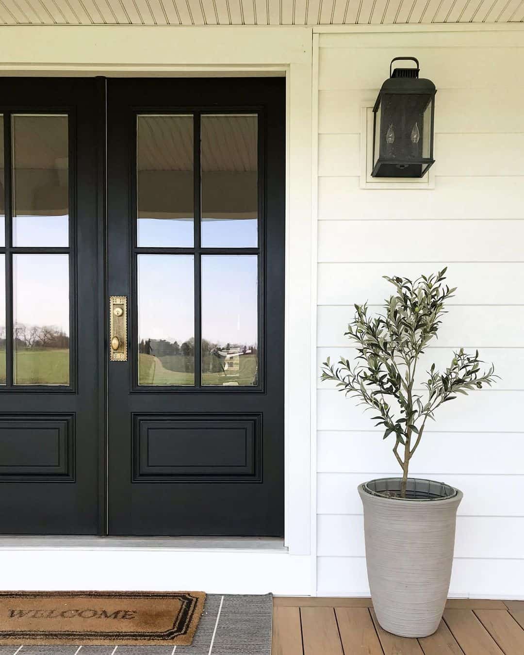 33 Incredible Front Door Plants to Beautify Your House