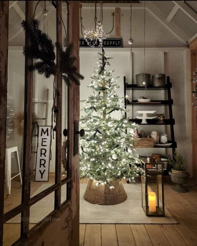 Brightly Lit Tree in a Wicker Christmas tree Collar - Soul & Lane