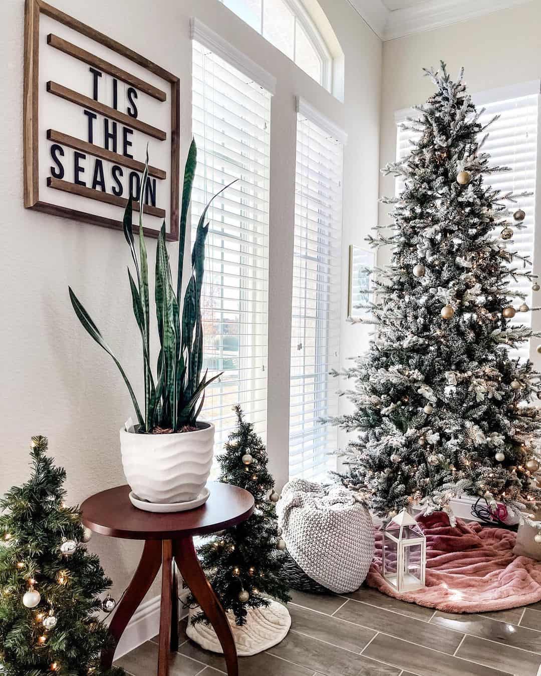 Interior Plant Styling with Christmas Trees - Soul & Lane