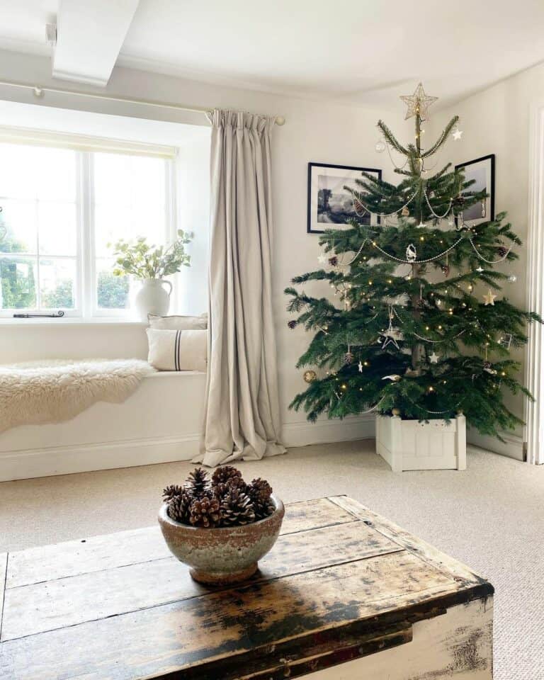 Giant Christmas Tree in a White Tree Box - Soul & Lane