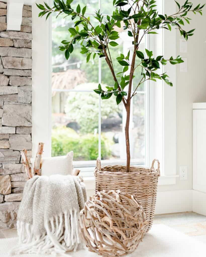 30 Modern Organic Décor Ideas for a Flawless Natural Finish