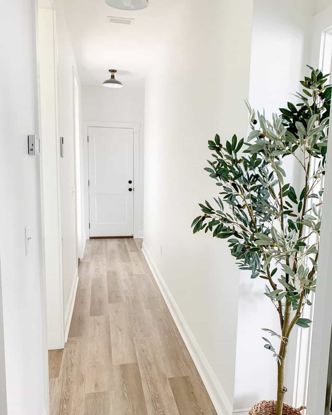Faux Olive Tree as Hallway Décor - Soul & Lane