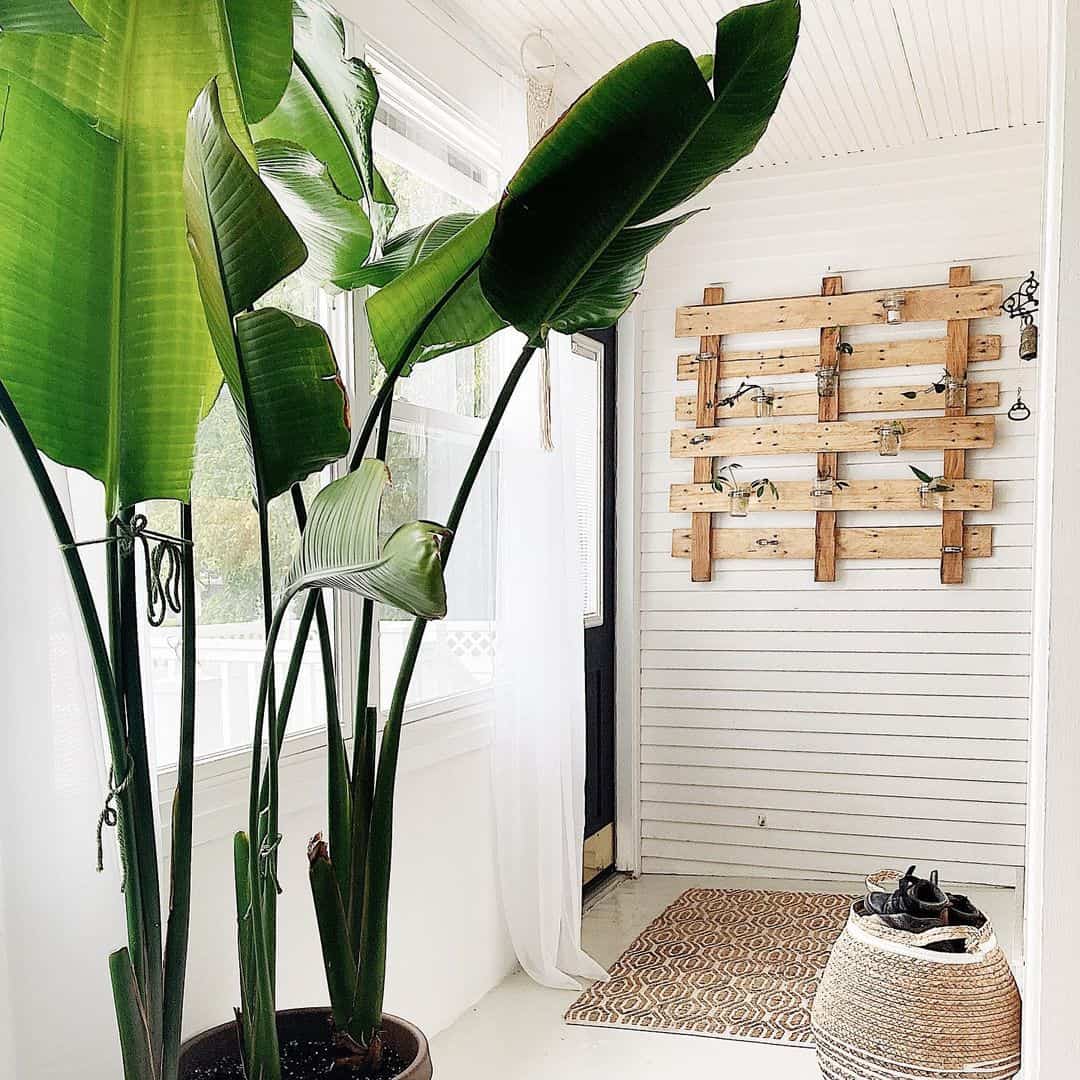 Nature-inspired Mudroom Entryway With Greenery - Soul & Lane