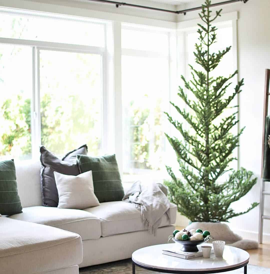 Simple Beauty of an Undecorated Tree - Soul & Lane