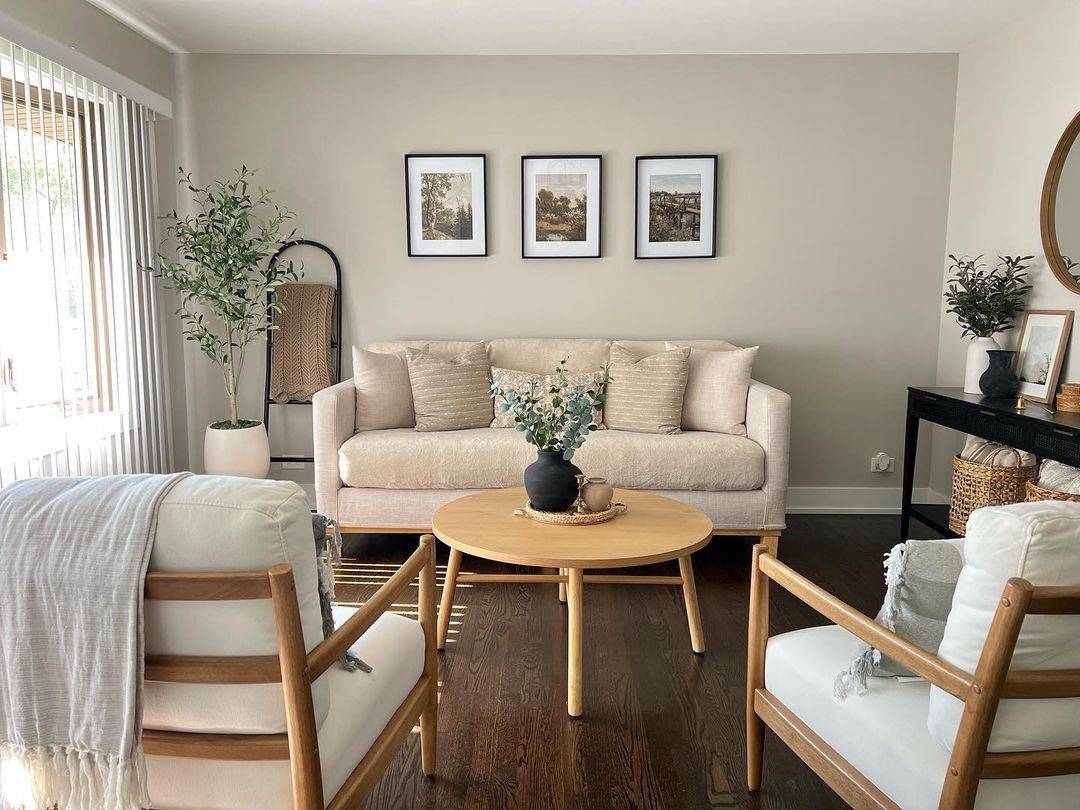 Earthy Living Room Ideas Without TV - Soul & Lane